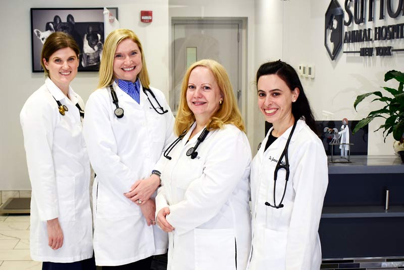 About Sutton Animal Hospital | Upper East Side Vets