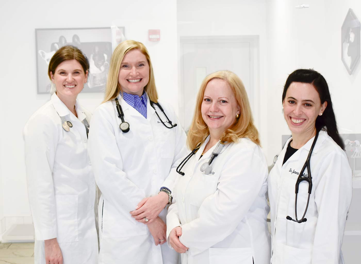 Veterinary Care in Upper East Side in New York City